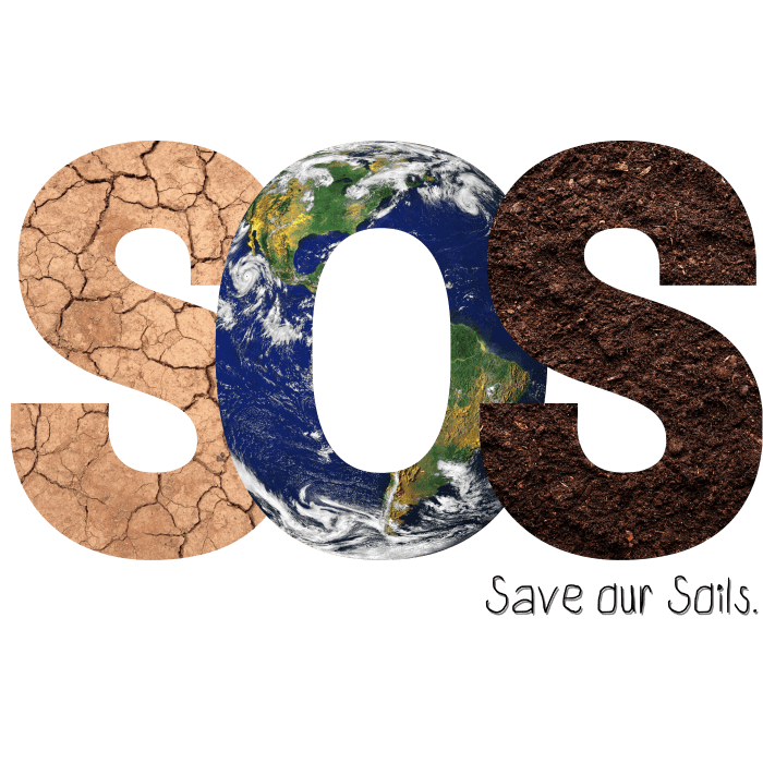 Why Is Soil So Important? – Becky Searle