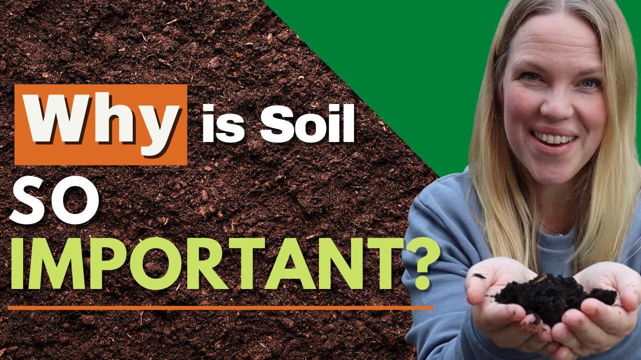 Why Is Soil So Important? – Becky Searle